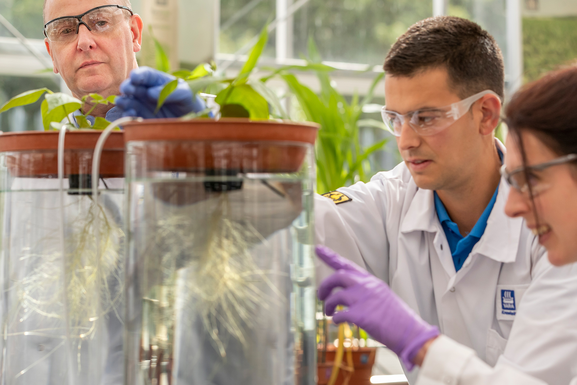 Yara construirá una nueva planta mundial de fertilizantes especiales y ...